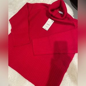 Zara | Sweaters | New With Tag Zara Turtle Neck Sweater | Poshmark